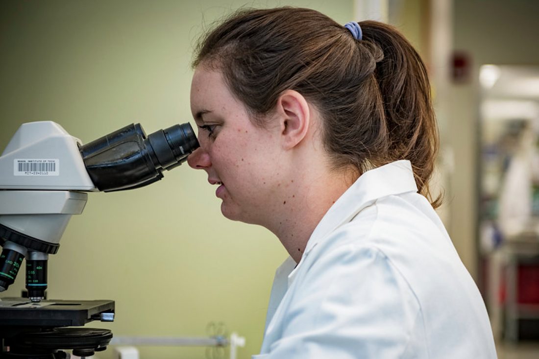 MIT is the recipient of a two-year STARTALK grant | MIT Global Languages